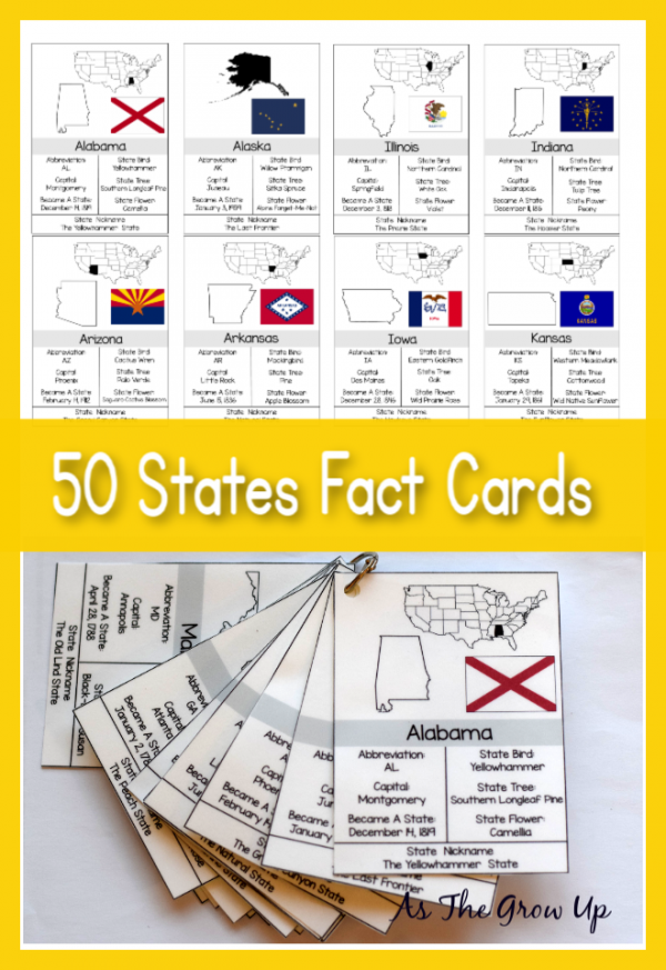50 States Facts Cards | As They Grow Up