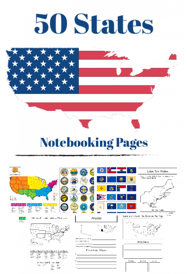 50 States Notebooking Pages | As They Grow Up